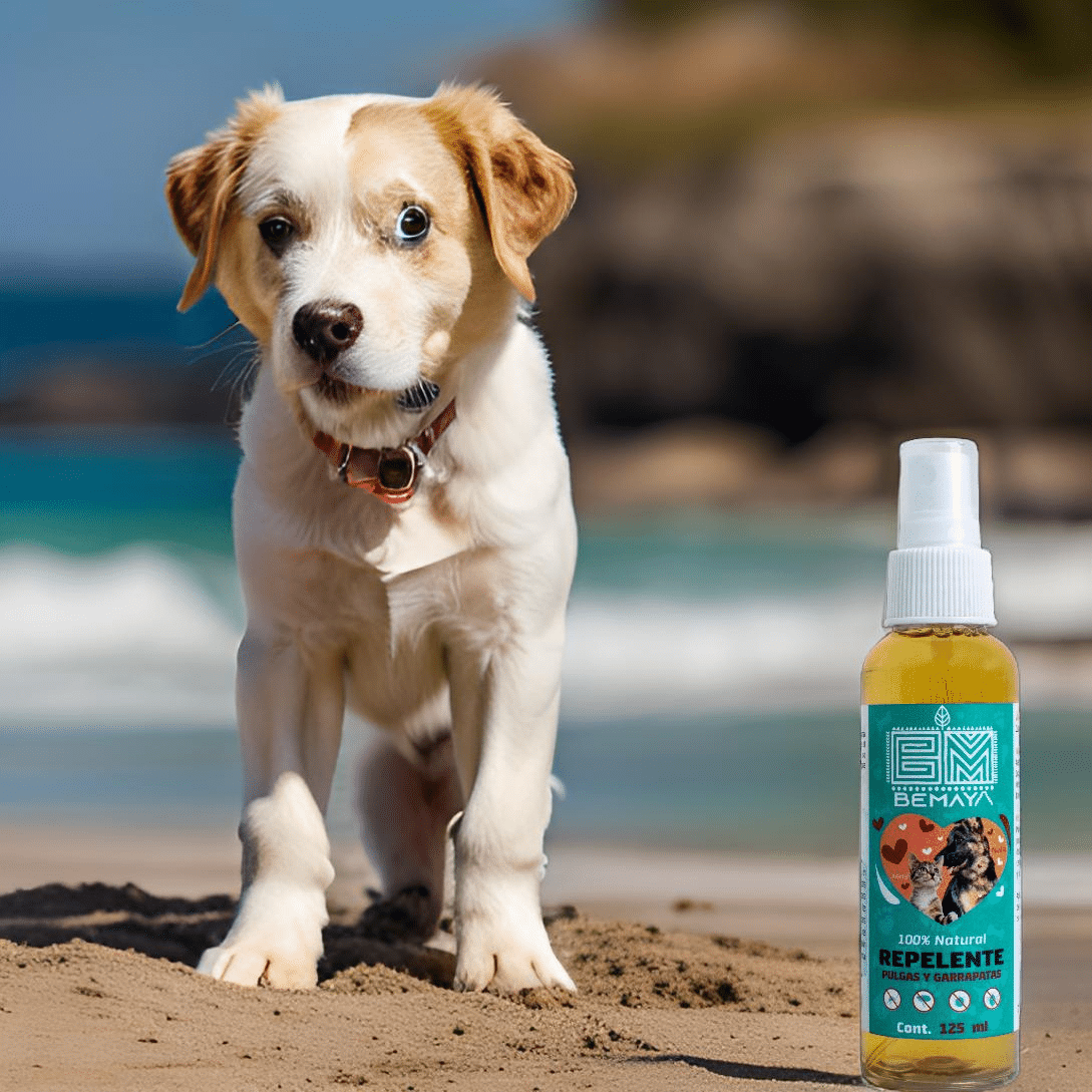Repelente de Pulgas y Garrapatas Biodegradable para mascotas 125 ml ...